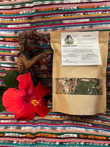 Strong Back Herbs | Rainforest Remedies