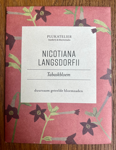 nicotiana langsdorfii - tabaksbloem | plukatelier