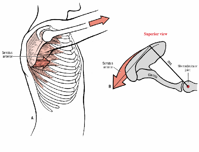 The Shoulder (doesn't have to be) Complex!
