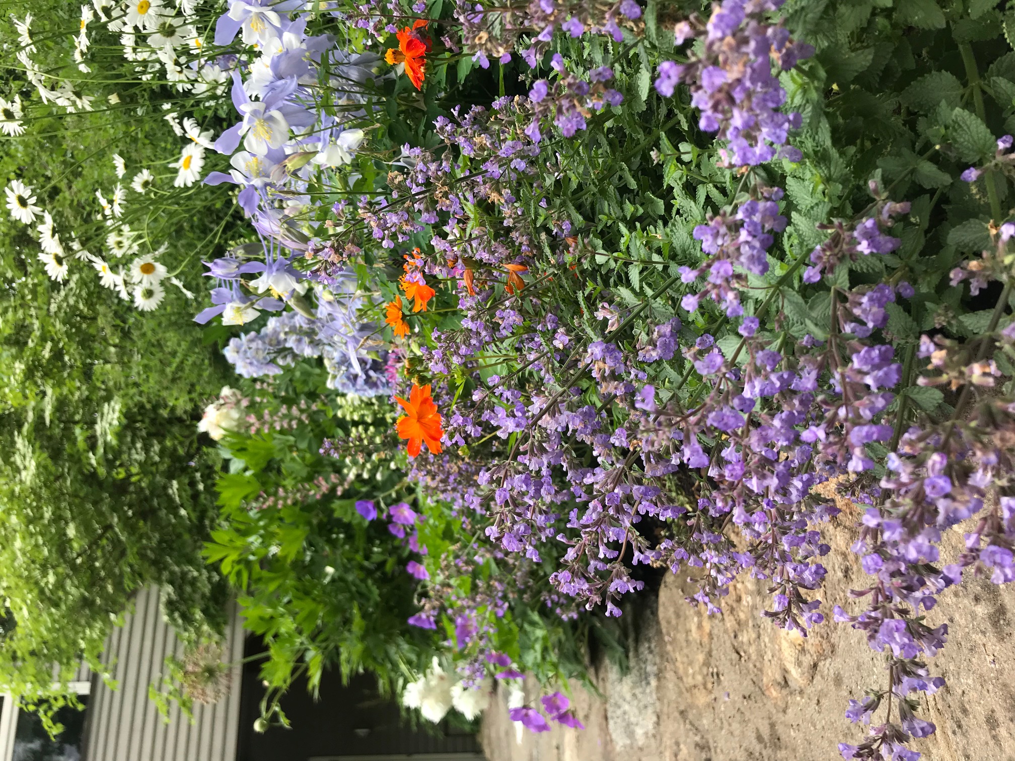 LANDSCAPE ARCHITECT