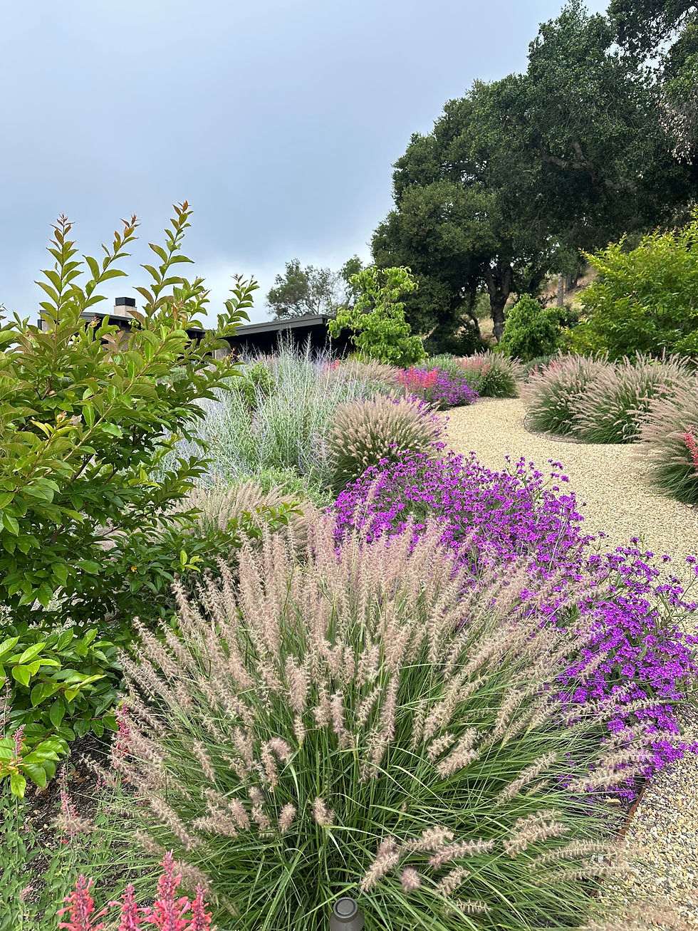 DEXTER estate landscapes