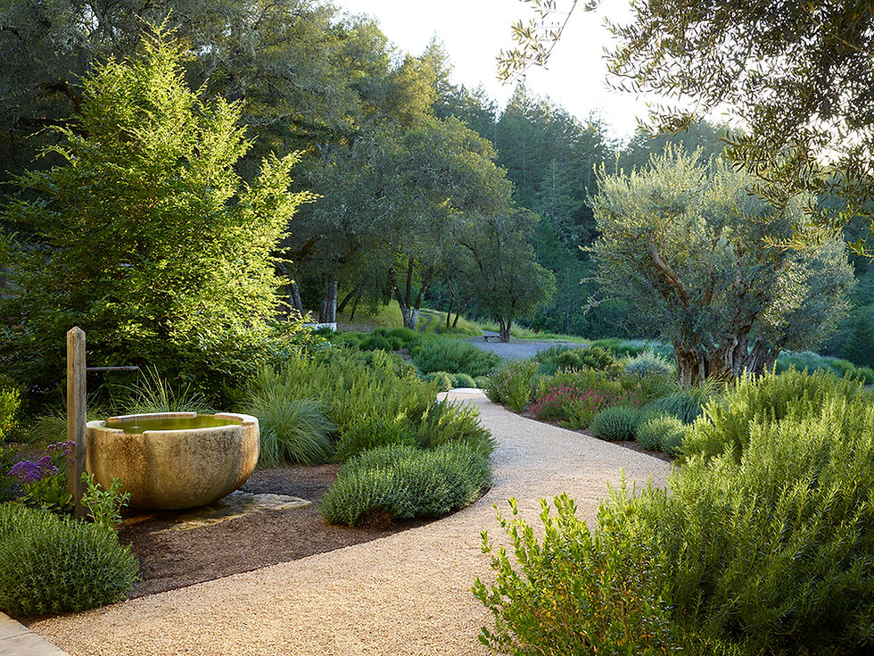 DEXTER estate landscapes