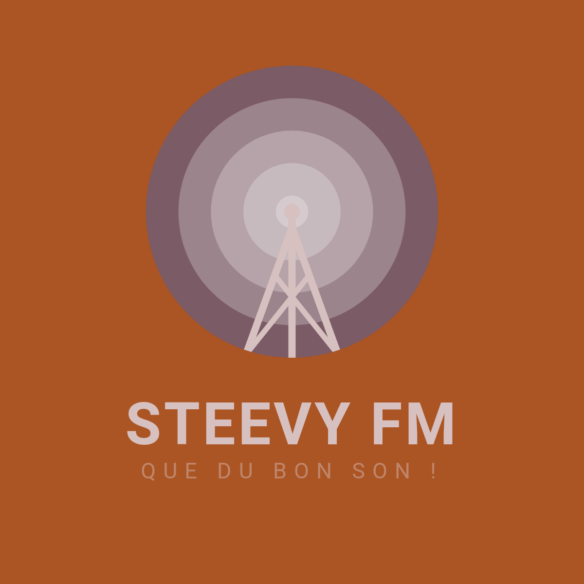 ACCUEIL | Steevy FM