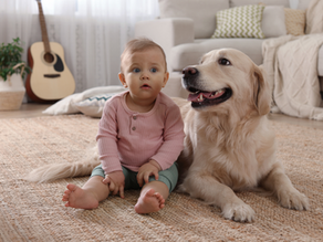 Take SWYC Screening Online - The Survey of Well-being of Young Children ...