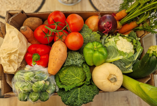 Large Veg Box | The little farm shed