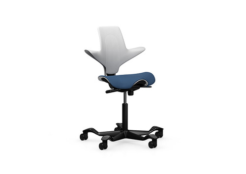 HAG Capisco Plus Task Chair | Jamesville Furniture