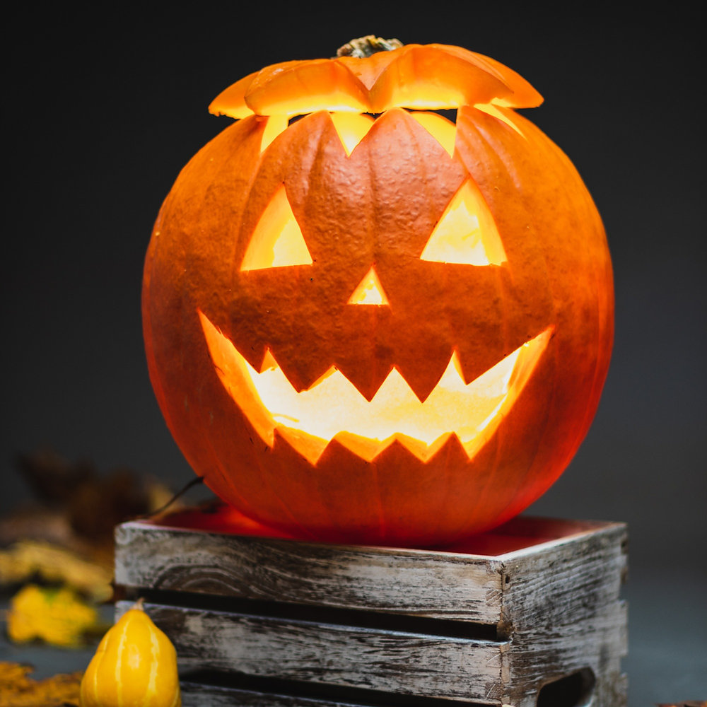 Carving Up A Storm - Pumpkin Season's Here!