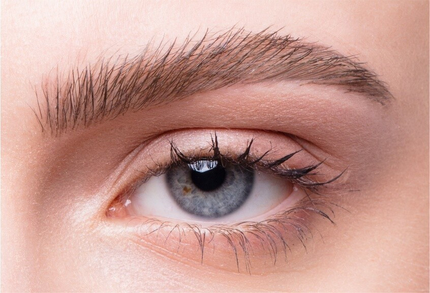 The Eyebrow Guide – Solve Your Brow Dilemmas | Lavoom Salon
