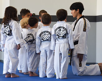Programs | Tiger Cho's World Class Taekwondo | St. Augustine