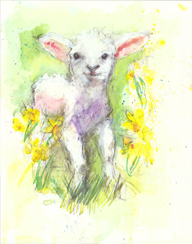 Daffodil, the Lamb | Beth Wright Ink and