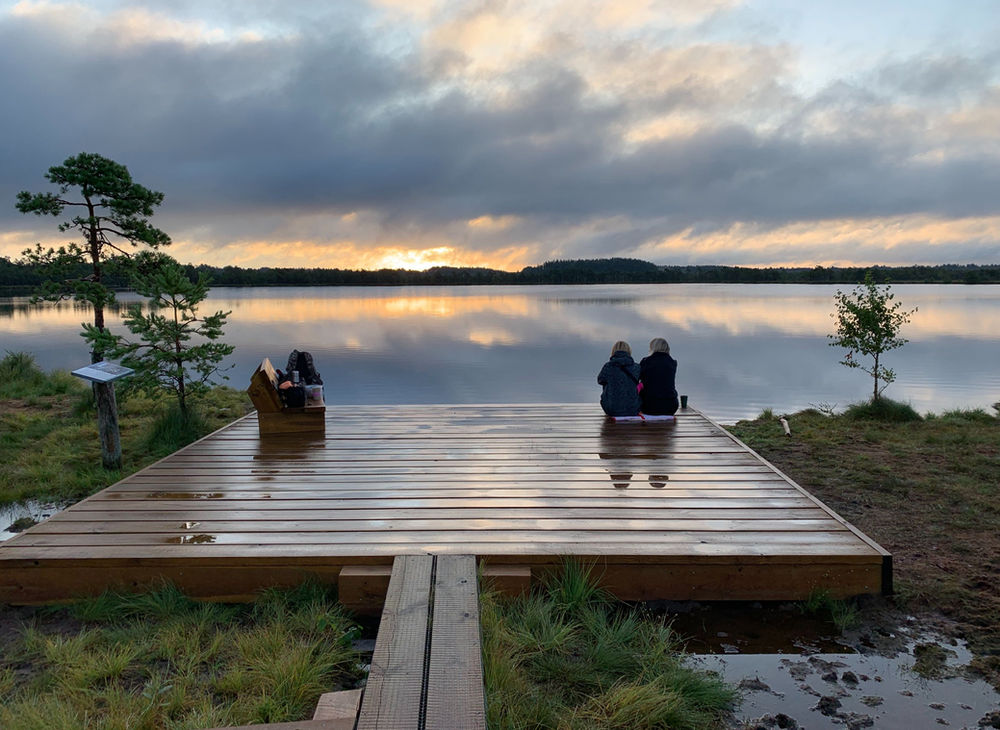 11 Reasons To Visit A Bog On Your Estonia Roadtrip