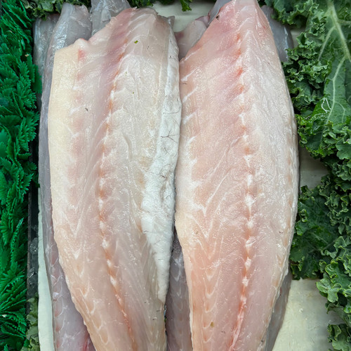 Bronzini Fillets | Fishery Seafood DC