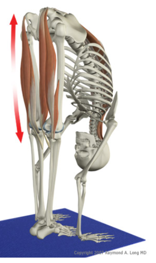 Stretching 101: A series