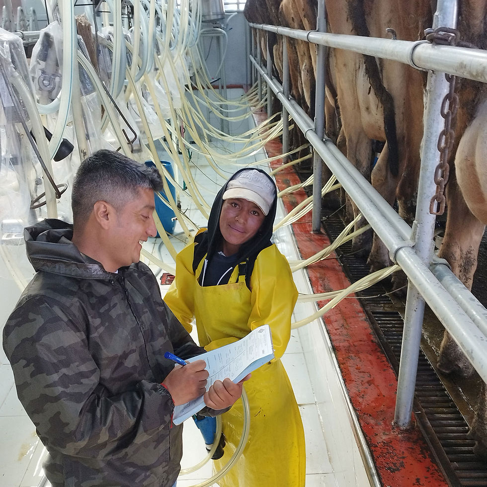 Calidad de leche | Selectecuador