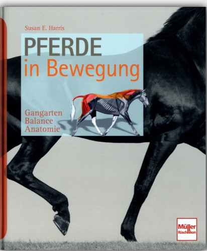 Pferde in Bewegung - Gangarten - Balance - Anatomie | EQUO VADIS SHOP