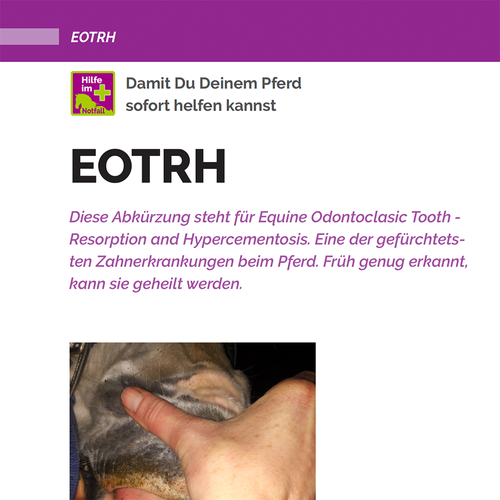 EOTRH | EQUO VADIS SHOP