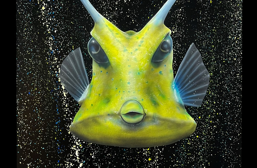 SPLASH | Nick Oneill Art