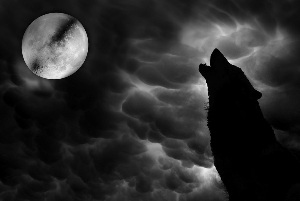 Wolf Moon Magic