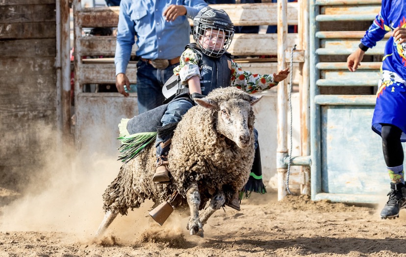 Rodeo | California | Southern California Youth Bull Riders