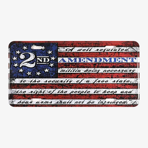 2ND AMENDMENT LICENSE PLATE | We The People