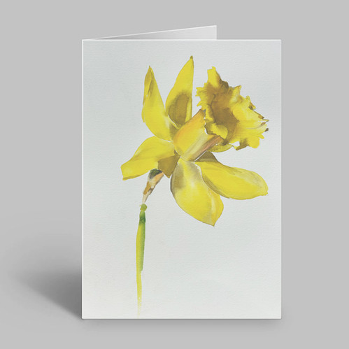 Hamptons Daffodil card | ponyandbelle