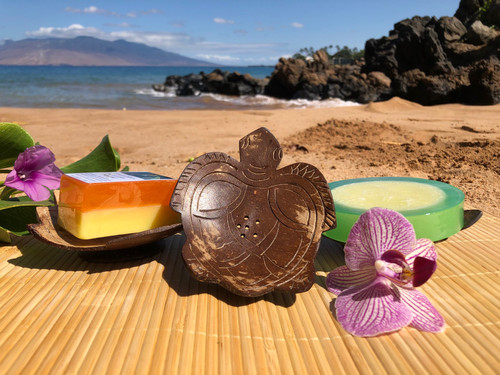 Soap Dish - Turtle | Paradise Garden Soap