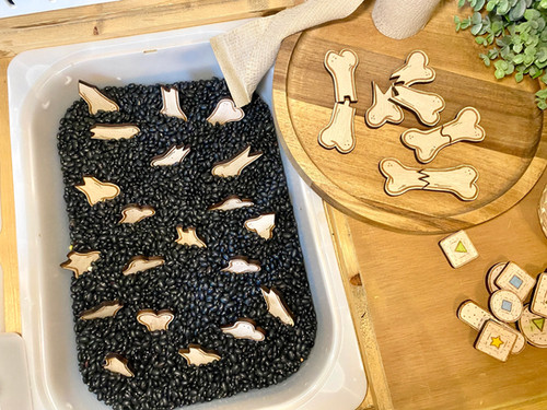 De gebroken botten | Diary of a mouse