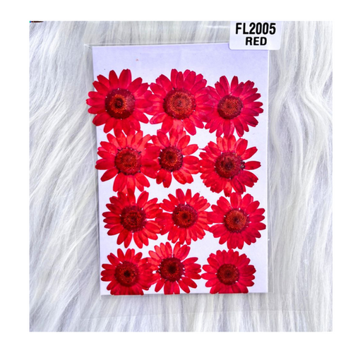 Maroon Daisy Pressed Dry Flower for Resin Art | Mithila Resin Art