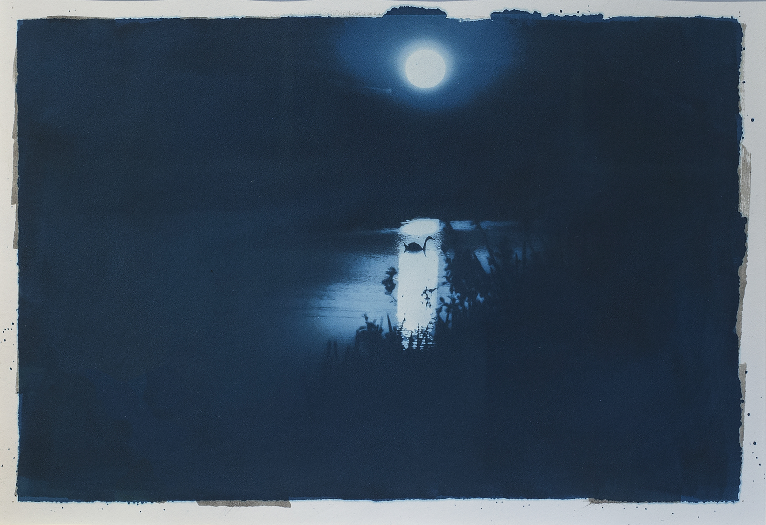 Alternative Photography. David Winston