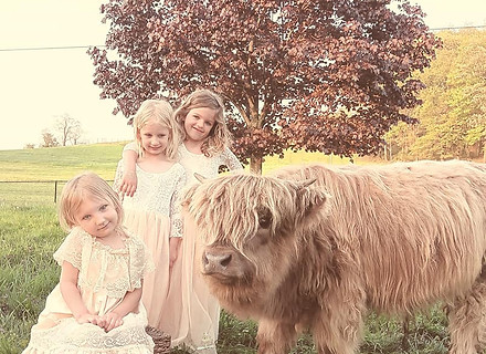 Photography Opportunities | Autumn Ridge Farm | Scottdale