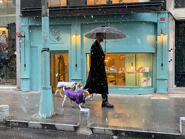 The Best Pastry Shops in Istanbul - The Insider's Guide to Cool Things ...