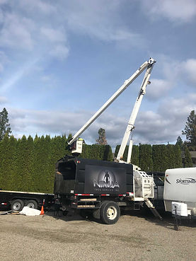 Tree Service Kelowna | Home | Ninja Tree Services