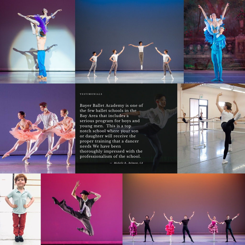 BLOG | Bayer Ballet