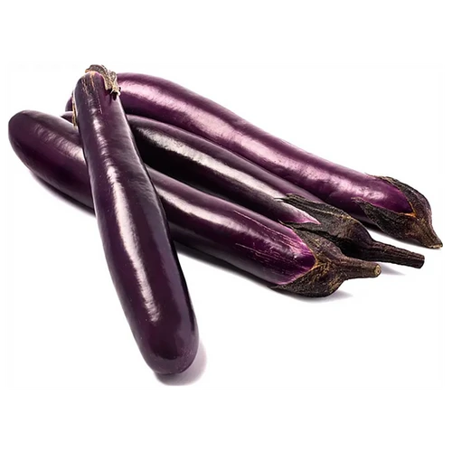 Chinese Long Eggplant | Ra's Farm