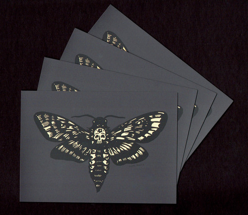 Death's head moth postcard | Red Hydrant Press