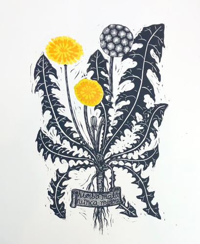 Dandelion linocut print | Red Hydrant Press
