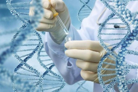 A guide to creating laboratory developed tests using molecular technology