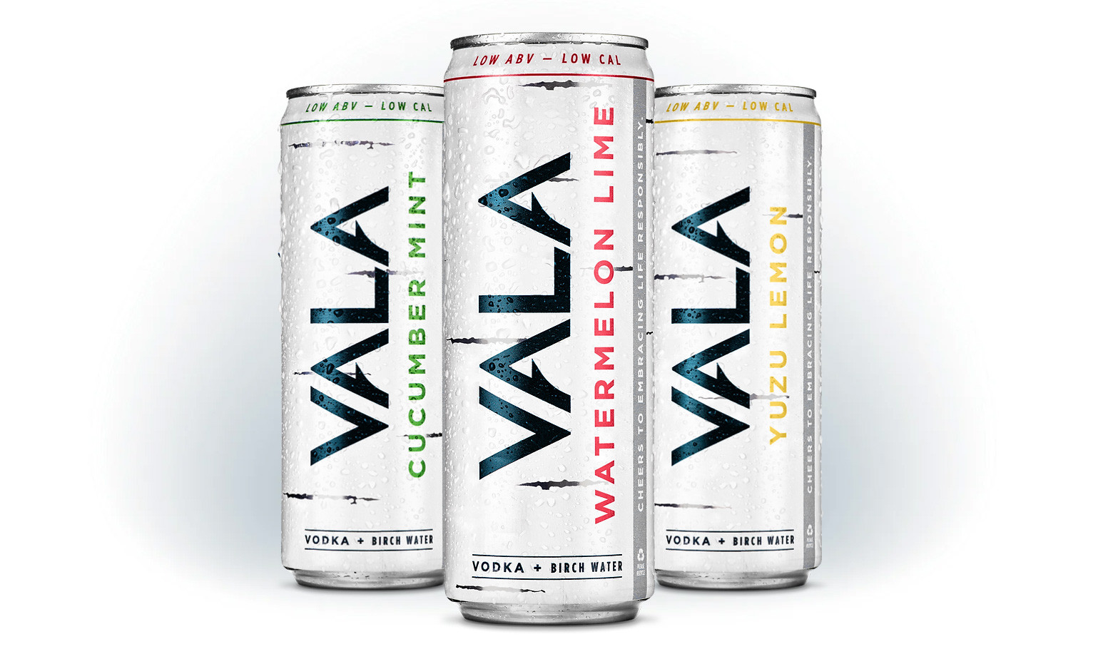 VALA Lifestyle Seltzer
