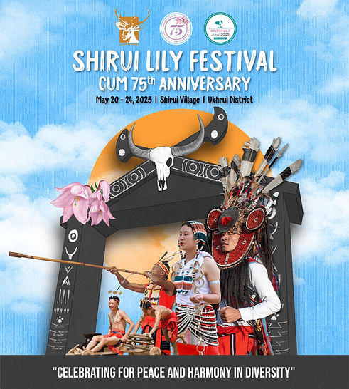 Home | Shirui Tourism