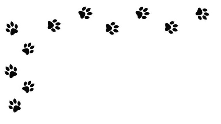 The Biscuit Factory Cat Café | cat cafe | 2616 West Colorado Avenue #19 ...