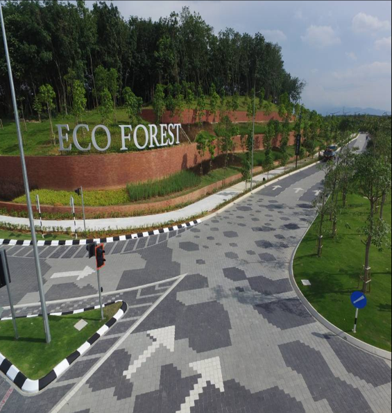 Eco Forest