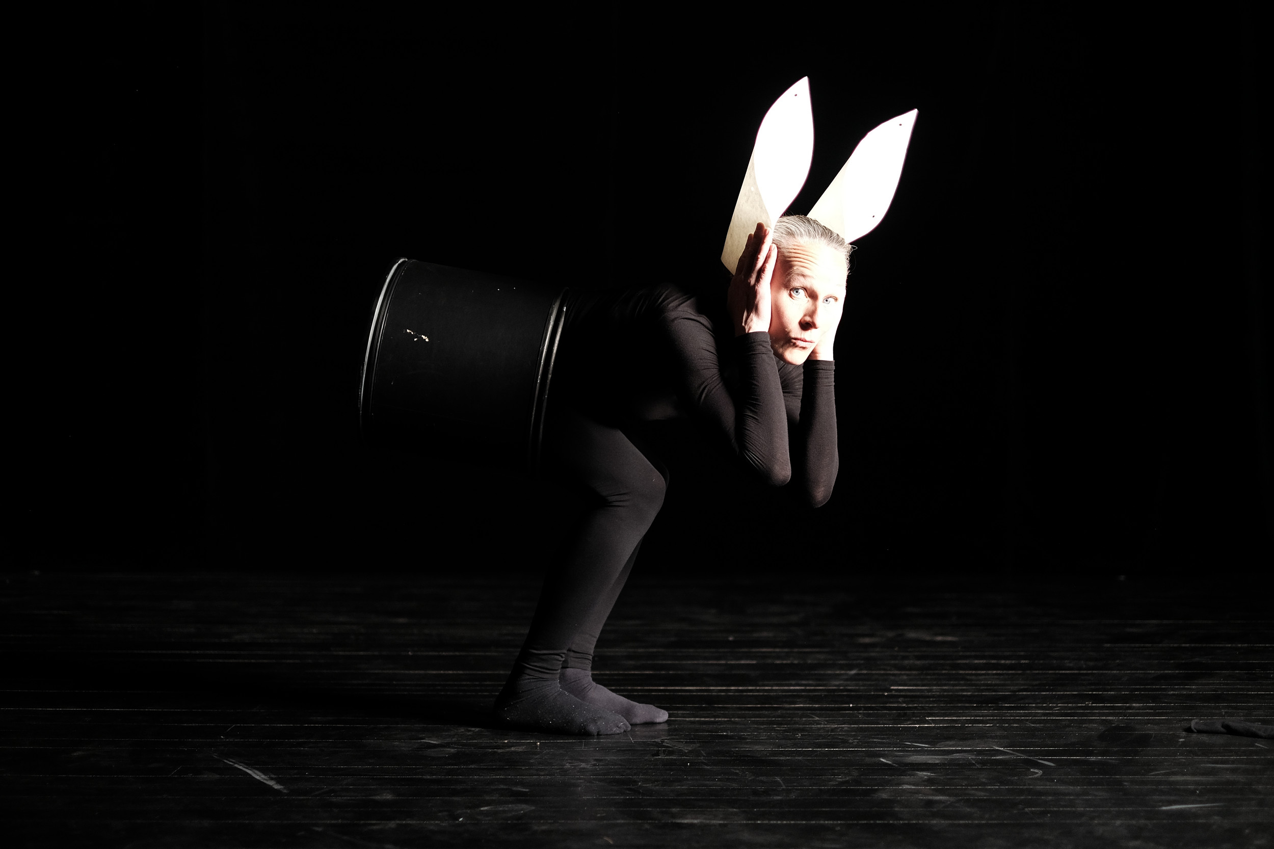 ALICE IN WONDERLAND | DANISH+