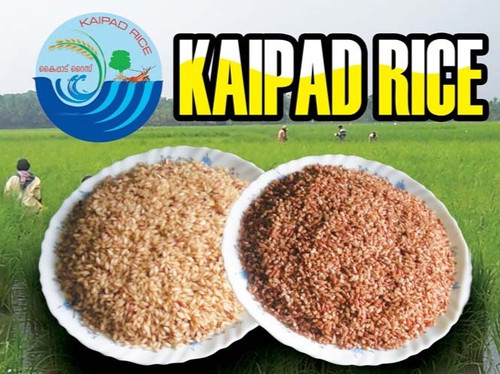 Kaipad Rice | Kaipad