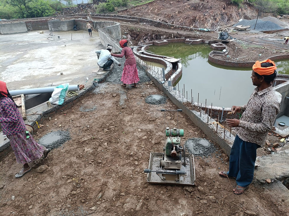 Commercial pools | SCM Engineers