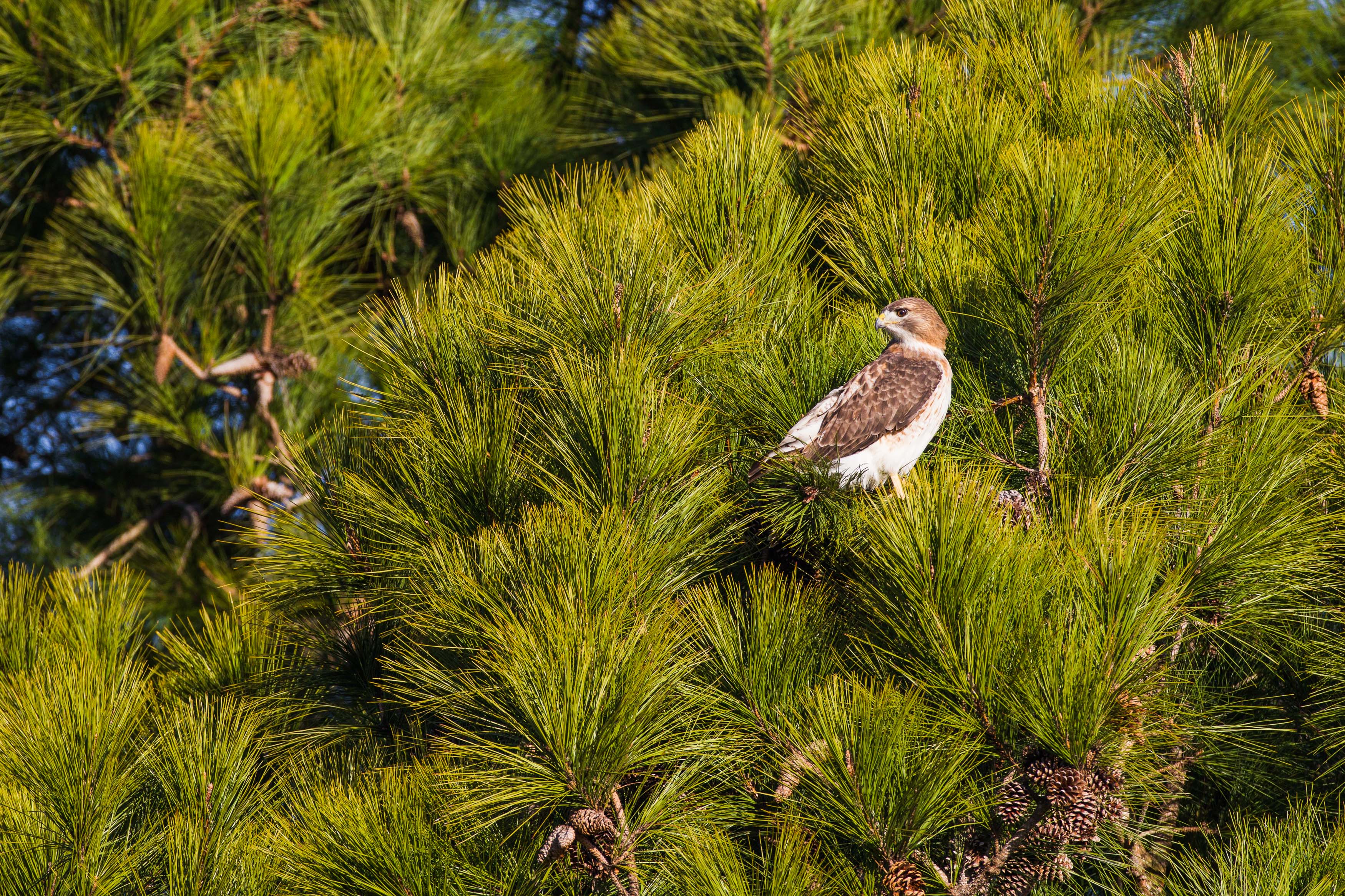 Sandow Lakes Ranch | Rockdale, TX | Icon Global Group