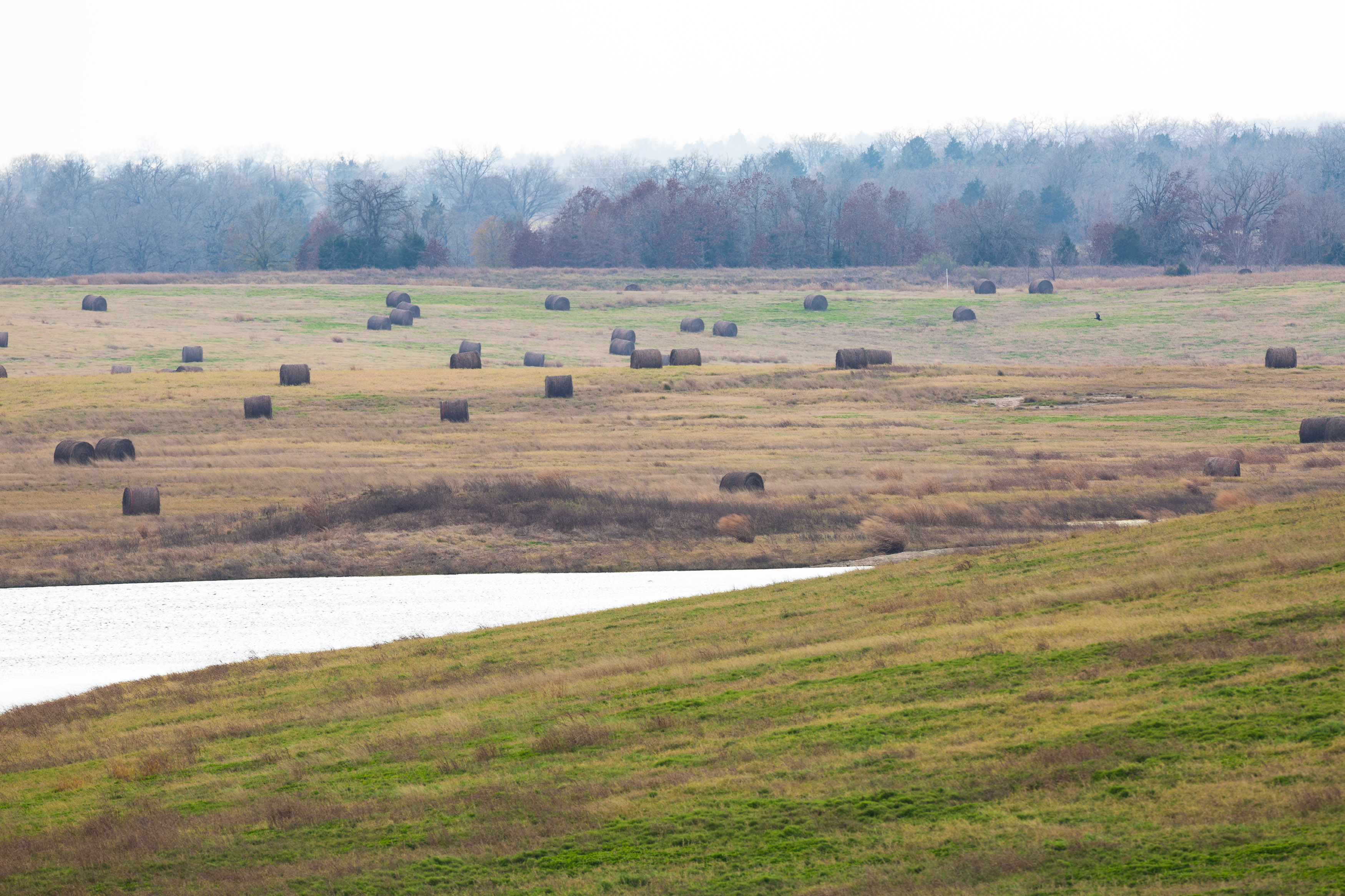 Sandow Lakes Ranch | Rockdale, TX | Icon Global Group