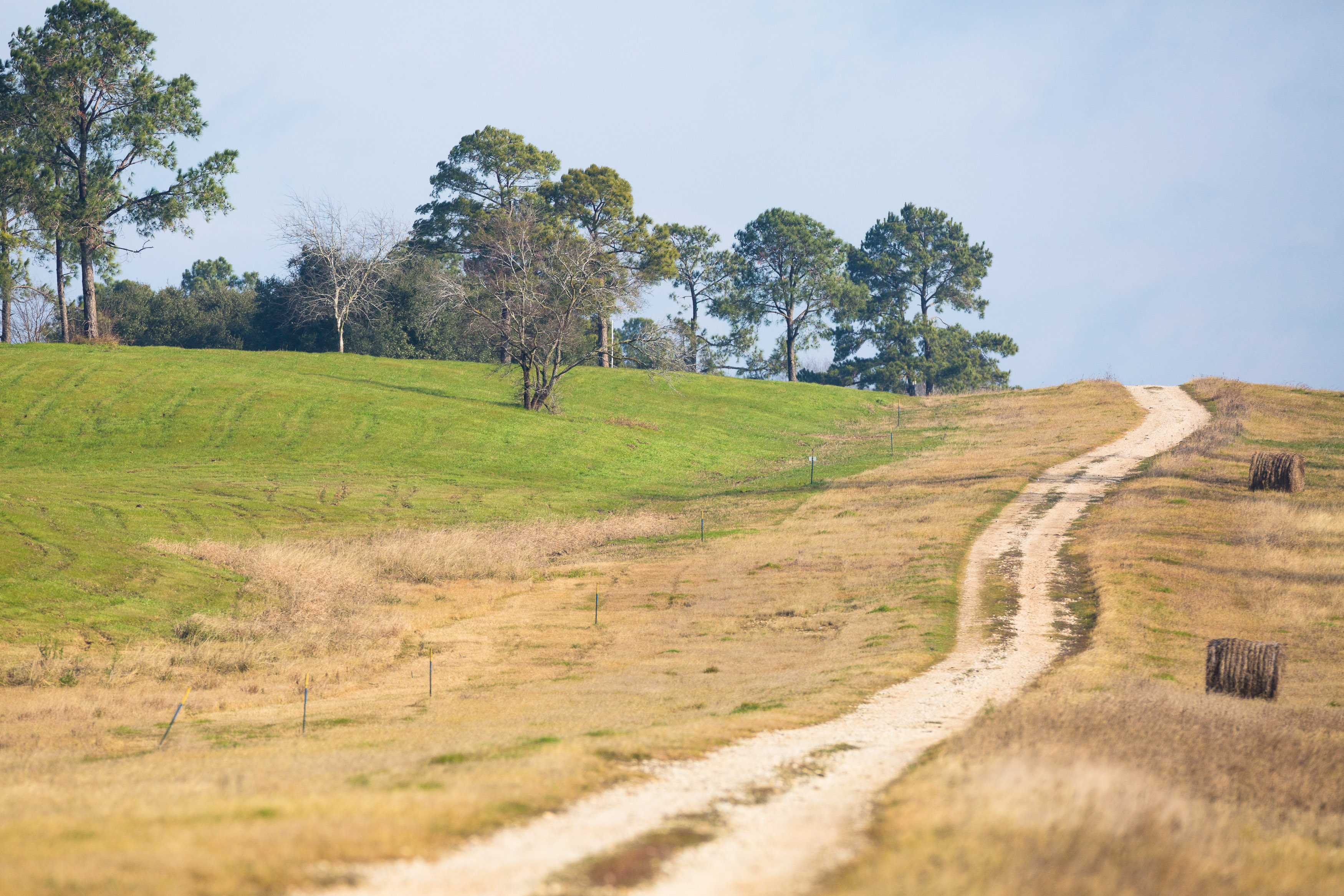 Sandow Lakes Ranch | Rockdale, TX | Icon Global Group