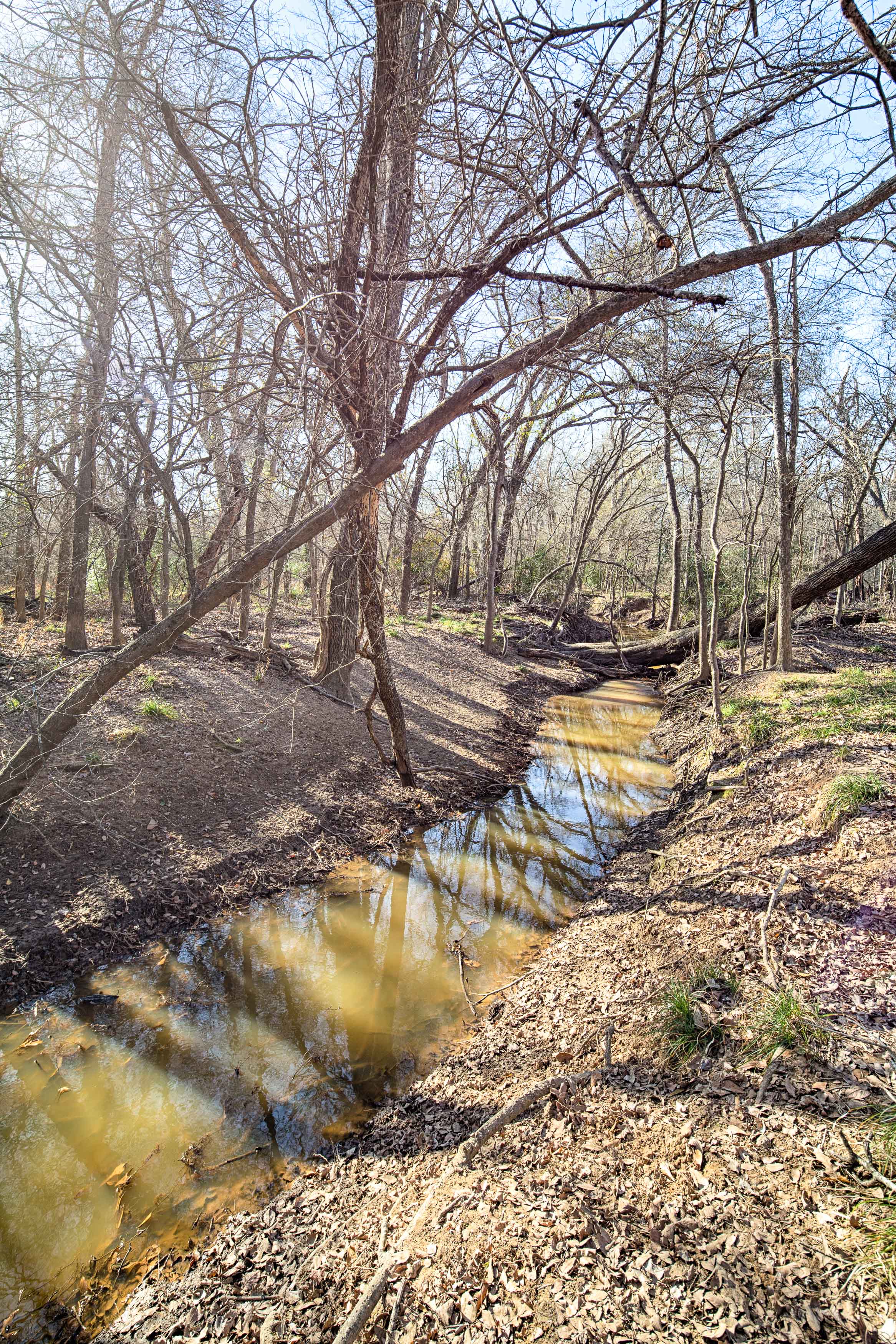 Sandow Lakes Ranch | Rockdale, TX | Icon Global Group