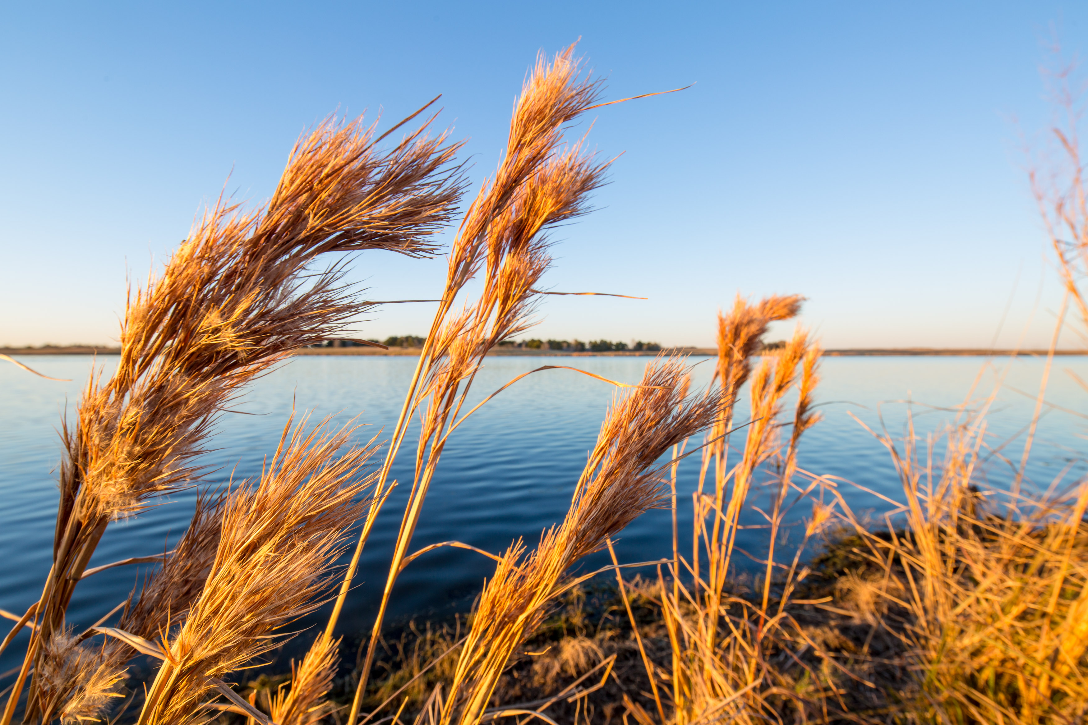 Sandow Lakes Ranch | Rockdale, TX | Icon Global Group