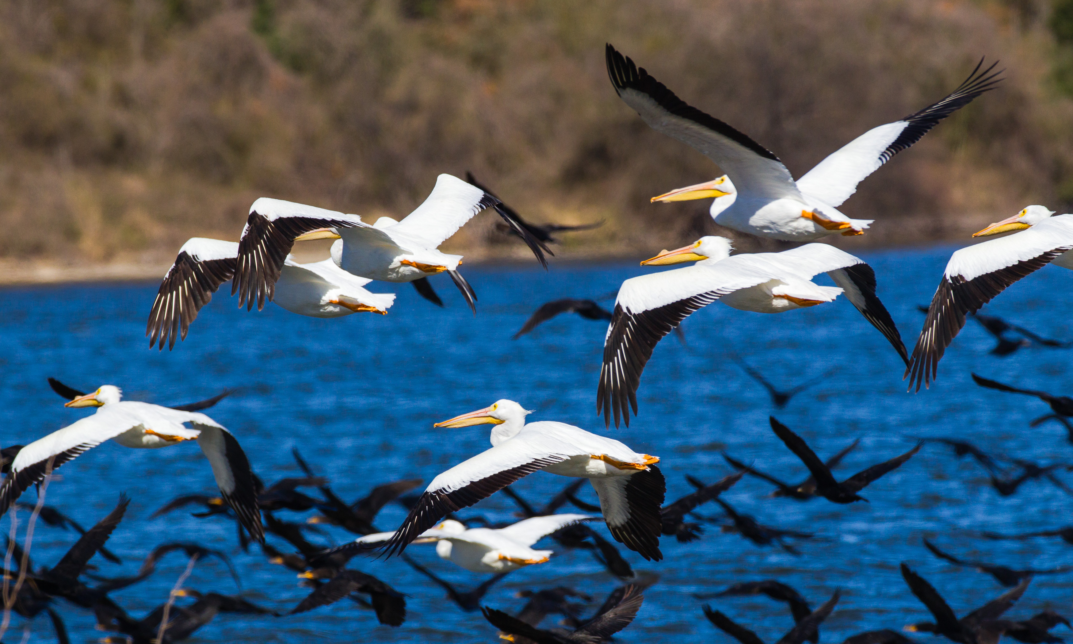 Sandow Lakes Ranch | Rockdale, TX | Icon Global Group